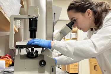Bioengineering Spotlights - Department of Bioengineering